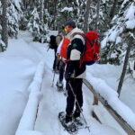 Vancouver: Panoramic View Hiking Tour - Detailed Breakdown of the Itinerary