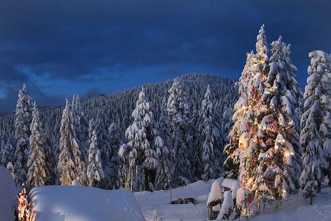 Vancouver Perfect Day Tour Grouse Mountain`& Capilano Suspention Bridge Private - The Practical Side: Comfort, Value, and Experience
