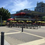 Vancouver: Private City Tour and North Shore Day Trip - The Value of a Private, Custom Tour