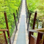 Vancouver: Private Tour City Sights, FlyOver & Capilano - Highlights Explained