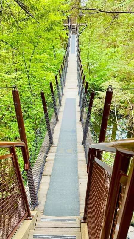Vancouver: Private Tour City Sights, FlyOver & Capilano - Highlights Explained