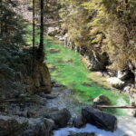 Vancouver: Rainforest Waterfall Hike and Suspension Bridge - What’s Included and What’s Not