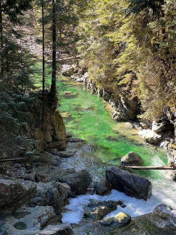 Vancouver: Rainforest Waterfall Hike and Suspension Bridge - What’s Included and What’s Not