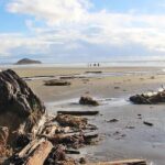 Vancouver to Tofino 2 Day Tour Private - The Benefits of Private Transportation and Guided Visits