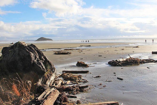 Vancouver to Tofino 2 Day Tour Private - The Benefits of Private Transportation and Guided Visits