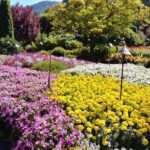 Vancouver, Victoria & Whistler 3 days in one Combo Tour. - Who Will Love This Tour?