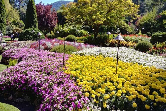 Vancouver, Victoria & Whistler 3 days in one Combo Tour. - Who Will Love This Tour?