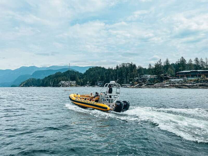 Vancouver: Waterfront Sightseeing Tour - City and Nature - Key Points