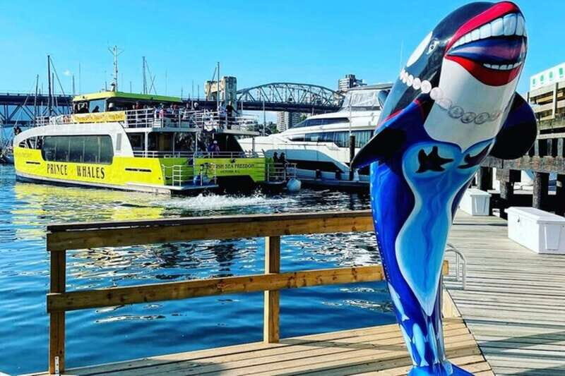 Vancouver: Whale Watching Adventure with Private City Tour - A Closer Look at the Marine Wildlife Experience