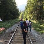Vancouver: Whistler Sightseeing Tour with Hotel Pickup - Is It Worth the Price?