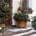 Vancouvers Festive Shoreline: A Christmas Walking Tour - Who Would Love This Tour?