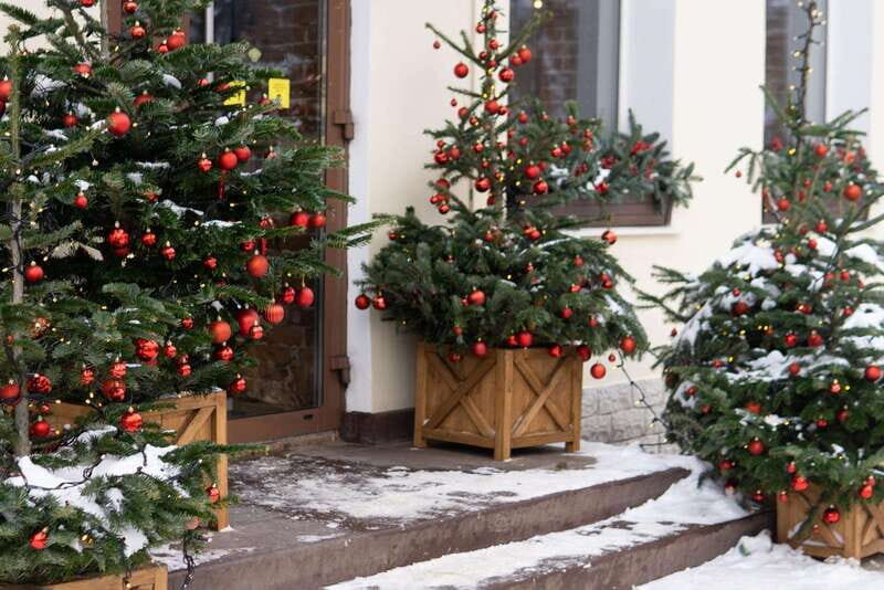 Vancouvers Festive Shoreline: A Christmas Walking Tour - Who Would Love This Tour?