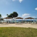 Vanuatu Highlights and Duty Free Shopping - What the Reviews Say (Based on Available Feedback)
