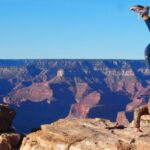 Vegas: Grand Canyon National Park South w/Lunch, Free WiFi - The Grand Canyon Experience — Highlights at the Park