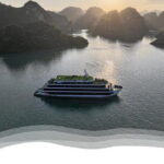 Venus Cruise Halong Bay 2 Days/1 Night 6 Star Cruise - Who Would Love This Tour?