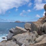 Victor Harbor and Fleurieu Peninsula Tour - The Value of the Experience
