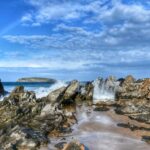 Victor Harbor and Fleurieu Peninsula Tour - What Travelers Say
