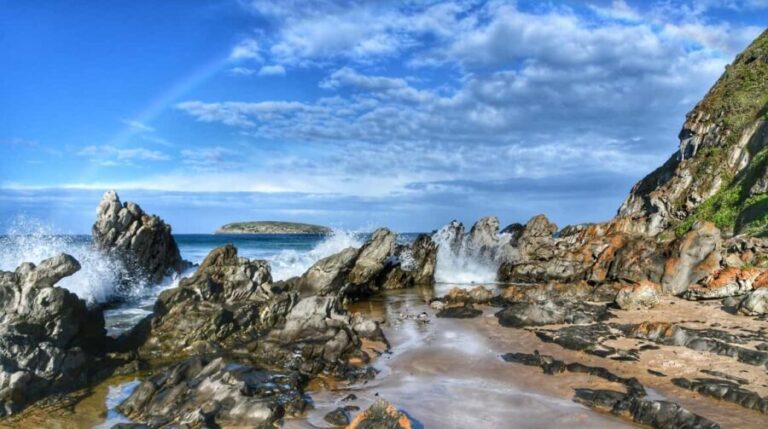 Victor Harbor and Fleurieu Peninsula Tour - What Travelers Say