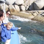 Victor Harbor: Seal Island Cruise - Frequently Asked Questions
