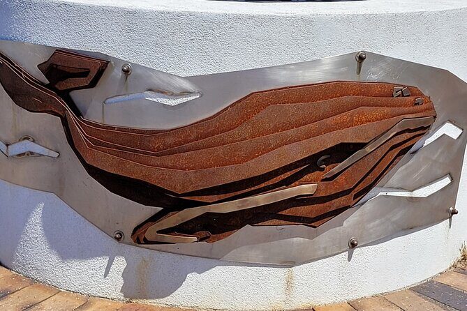 Victor Harbor: Stories of Whaling, Shipwrecks and European Settlers Guided Tour - Who Will Love This Tour?