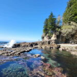 Victoria: 4-Day Tofino and Port Renfrew Tour with Flights - Deep Dive: What Makes This Tour Stand Out