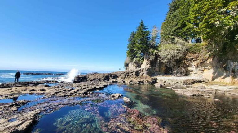 Victoria: 4-Day Tofino and Port Renfrew Tour with Flights - Deep Dive: What Makes This Tour Stand Out
