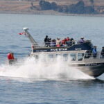 Victoria BC: 3 Hour Expedition Catamaran Whale Watching Tour - Itinerary and What to Expect