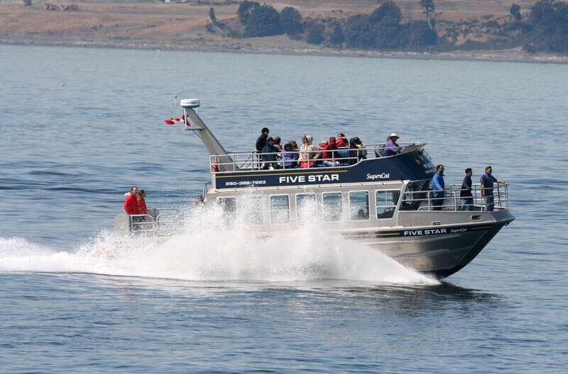 Victoria BC: 3 Hour Expedition Catamaran Whale Watching Tour - Itinerary and What to Expect