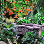 Victoria: Butterfly Gardens Admission Ticket - The Practical Side: Cost, Timing, and Accessibility