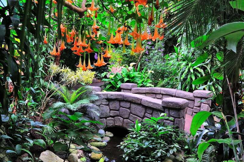 Victoria: Butterfly Gardens Admission Ticket - The Practical Side: Cost, Timing, and Accessibility