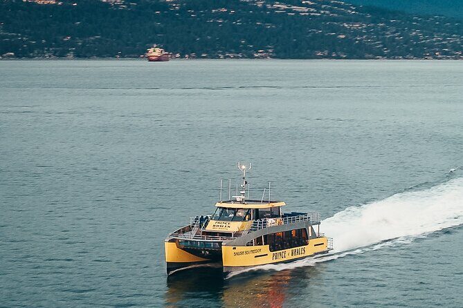 Victoria Half-Day Whale Watching Adventure with Free Photos - Guides and Wildlife Identification