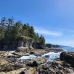 Victoria: Old Growth Rainforest Canyon Waterfall and Beaches - How the Experience Is Crafted for Value