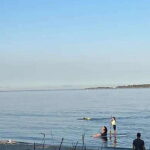Victoria: Paddle Board Tour at Willows Beach - Why This Tour Will Suit You