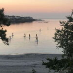 Victoria: Sunrise or Sunset SUP Tour - The Details That Matter