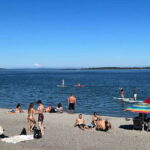 Victoria: Upper Gorge Waterway Paddle Boarding Tour - Encountering Wildlife and Nature