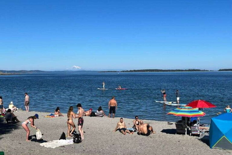 Victoria: Upper Gorge Waterway Paddle Boarding Tour - Encountering Wildlife and Nature