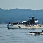 Victoria Whale and Wildlife Cruise - The Sum Up