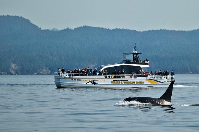 Victoria Whale and Wildlife Cruise - The Sum Up