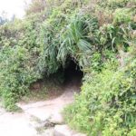 Vietnam DMZ Tour (Vinh Moc Tunnels ) Half Day from Hue - Who Will Love This Tour?