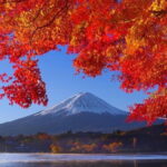 View of Mt. Fuji is good! Sushi making experience class - Authenticity and Value