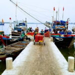 Village Adventure Private Tour by Electric Car - Authentic Perspectives from Past Travelers