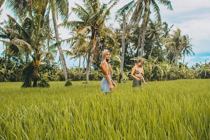 VILLAGE TOUR & RICE FIELDS TREKKING Jambangan Bali - Walking Through Rice Terraces: The Heart of Bali’s Land