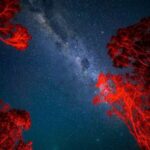 Vincentia: Jervis Bay Beach Stargazing with an Expert - What Makes This Tour Special?