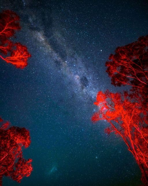 Vincentia: Jervis Bay Beach Stargazing with an Expert - What Makes This Tour Special?