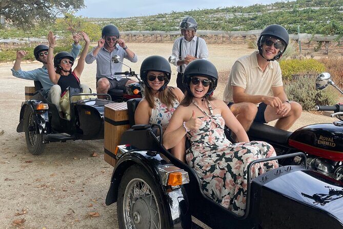 Vineyard Rides San Luis Obispo Sidecar Wine Adventure - Who Should Consider This Tour?