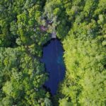 VIP Cenotes & Turtles Private Tour - Who is This Tour Best For?