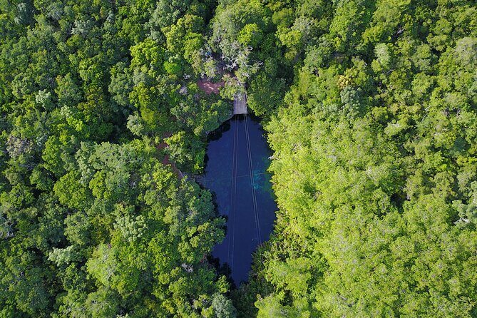 VIP Cenotes & Turtles Private Tour - Who is This Tour Best For?
