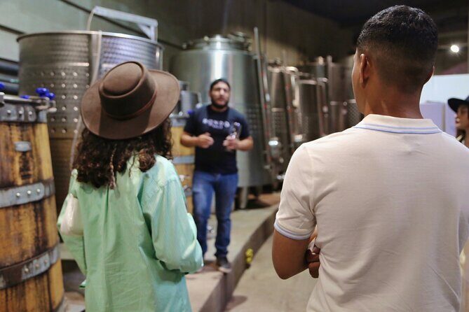 VIP Tasting - Detailed Breakdown of the Tour