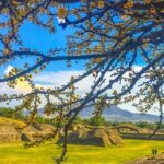 VIP Teotihuacan & Guadalupe Shrine Tour: A Journey Through Time - A Closer Look at the Itinerary