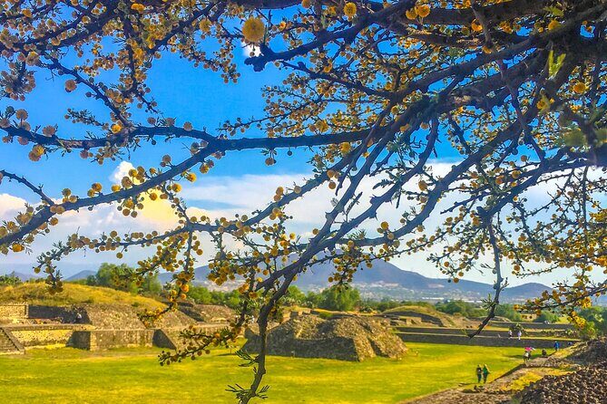 VIP Teotihuacan & Guadalupe Shrine Tour: A Journey Through Time - A Closer Look at the Itinerary